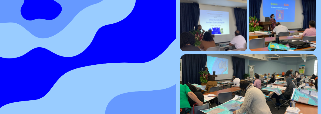 Water and Environmental Research Institute of the Western Pacific